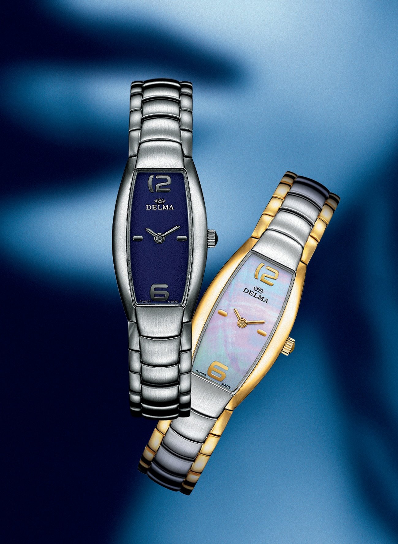 Delma The Torino Baguette